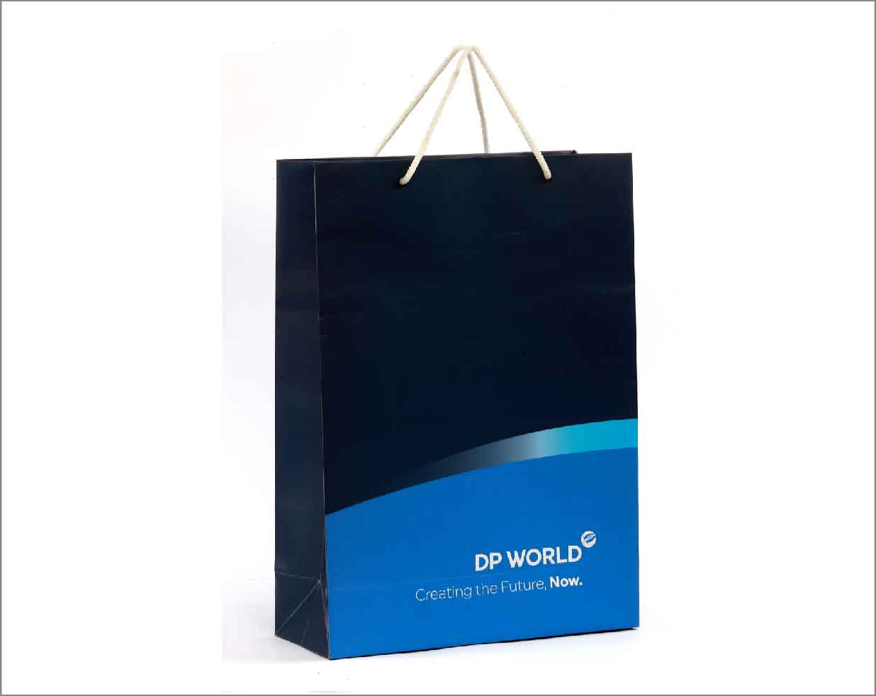 Paper Carry Bags – Anaswara